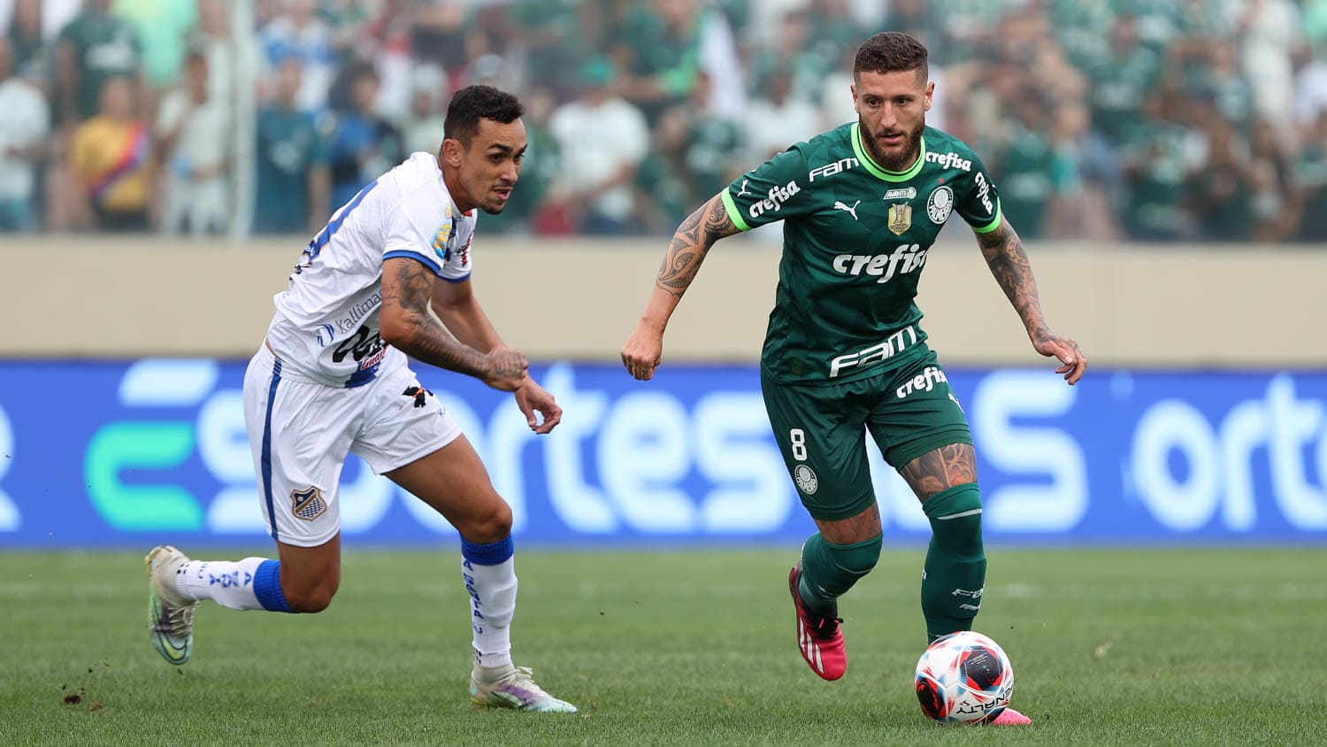 Como Assistir Ao Vivo Palmeiras X Água Santa Pelo Paulistão 2023