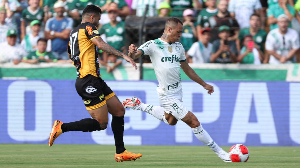 Palmeiras recebe boa notícia para o confronto com Novorizontino ... Palmeiras recebe boa notícia para o confronto com Novorizontino ...