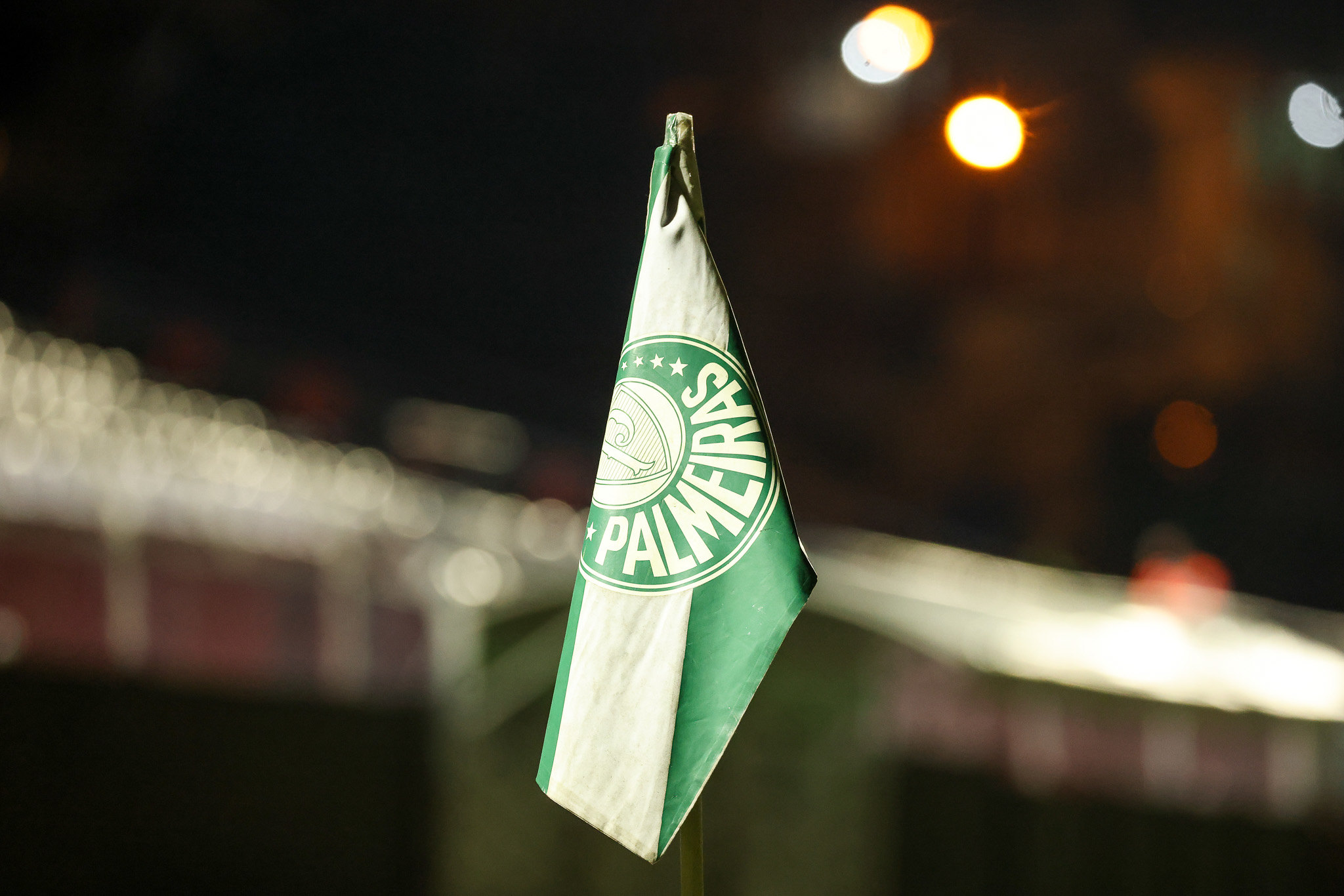 Palmeiras bate o Flamengo e se sagra campeão